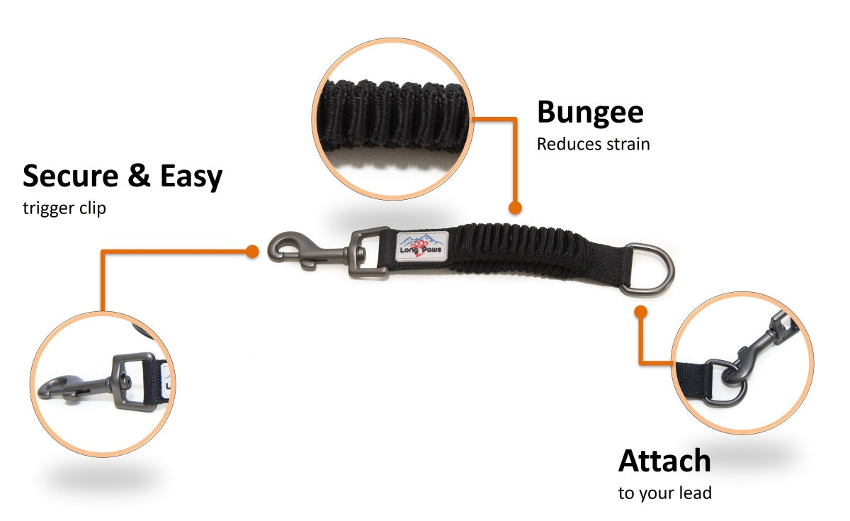 Long Paws | Exceptional Dog Accessories | UK