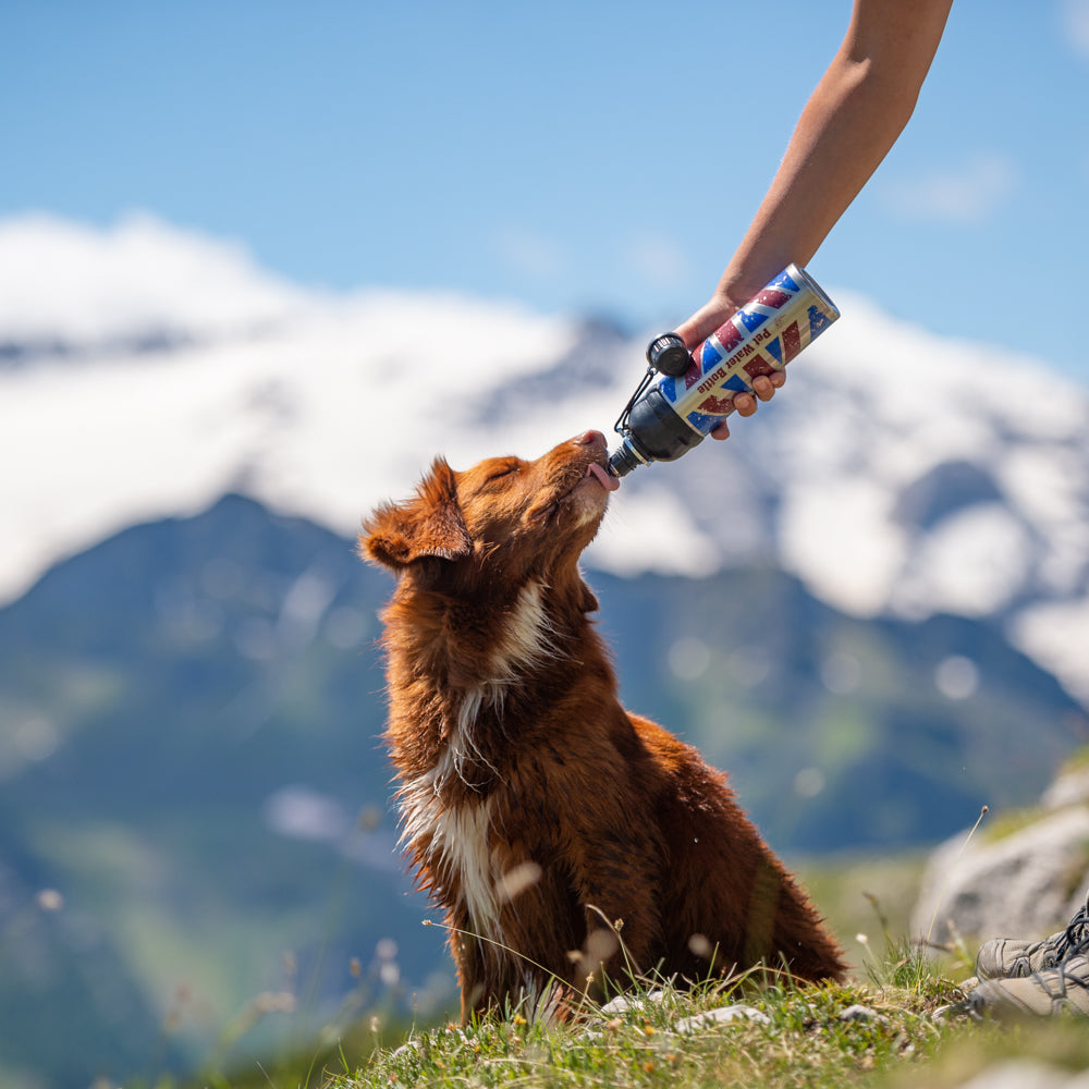 Long Paws | Exceptional Outdoor Dog Gear | UK