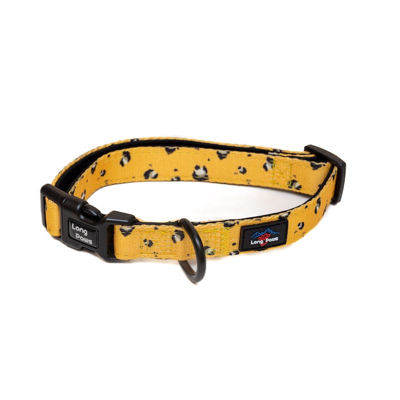 Funk The Dog Padded Dog Collar | Mustard Panda | Long Paws