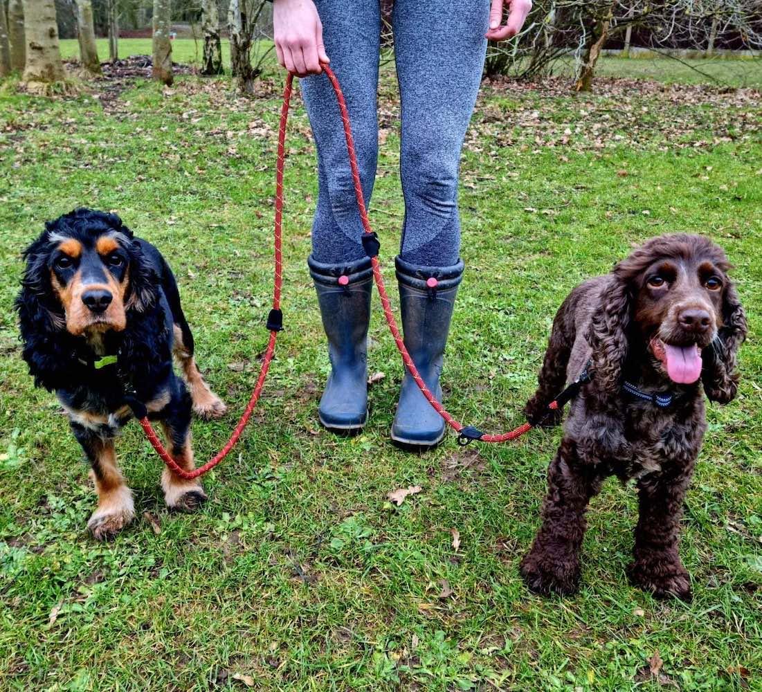 Long Paws | Exceptional Dog Accessories | UK